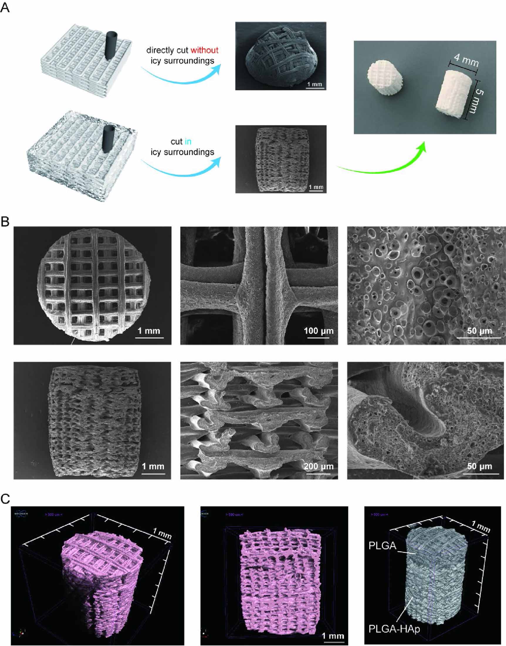 Wet 3D printing of biodegradable porous scaffolds to enable room ...