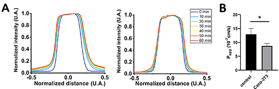 A 3D bioprinted hydrogel gut-on-chip with integrated electrodes for ...