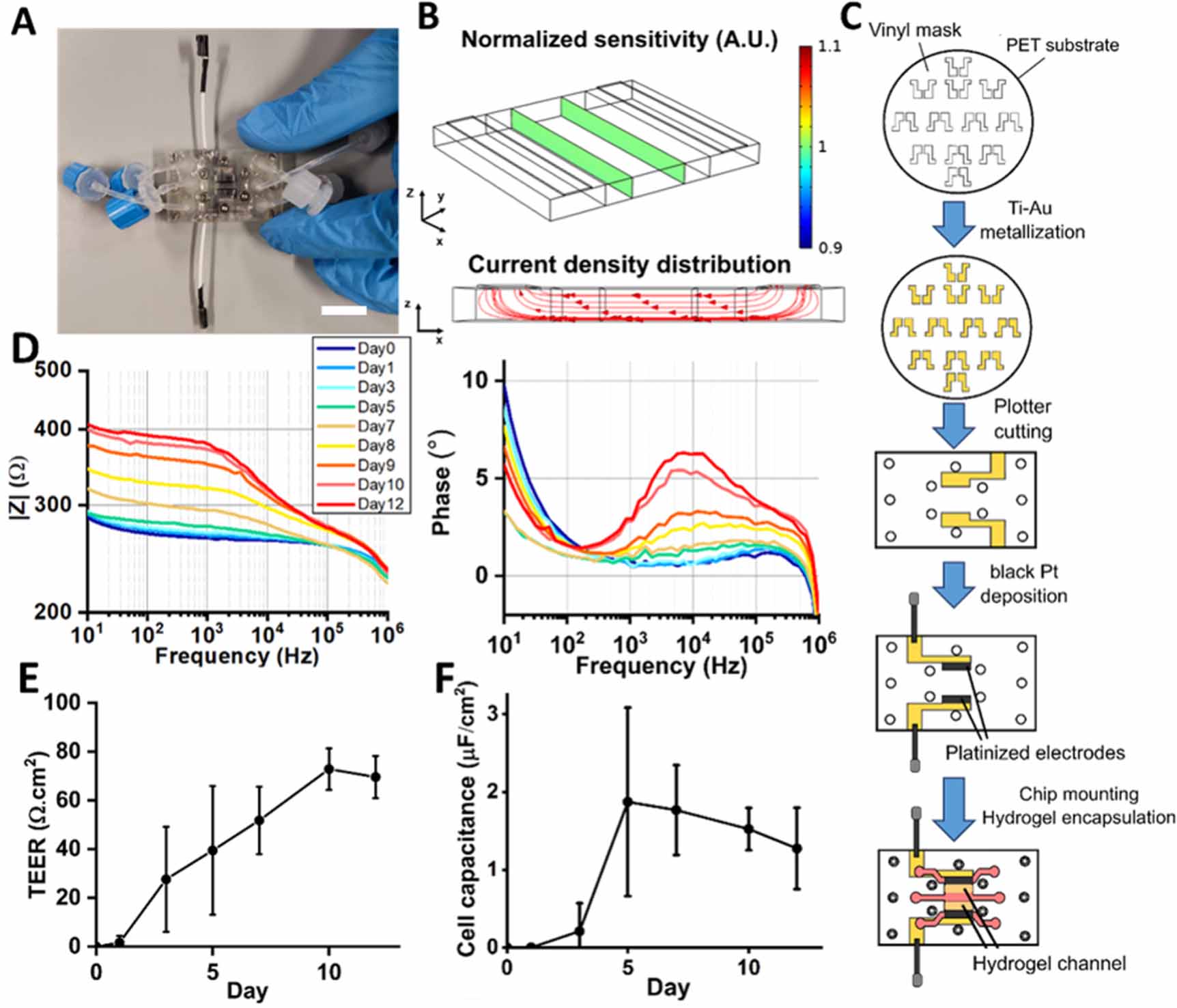 A 3D bioprinted hydrogel gut-on-chip with integrated electrodes for ...