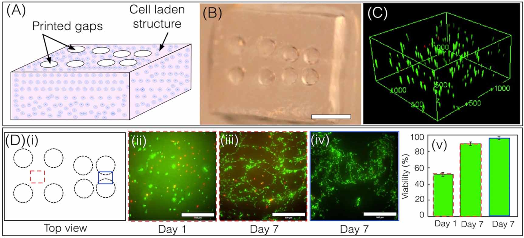Droplet bioprinting of acellular and cell-laden structures at high ...