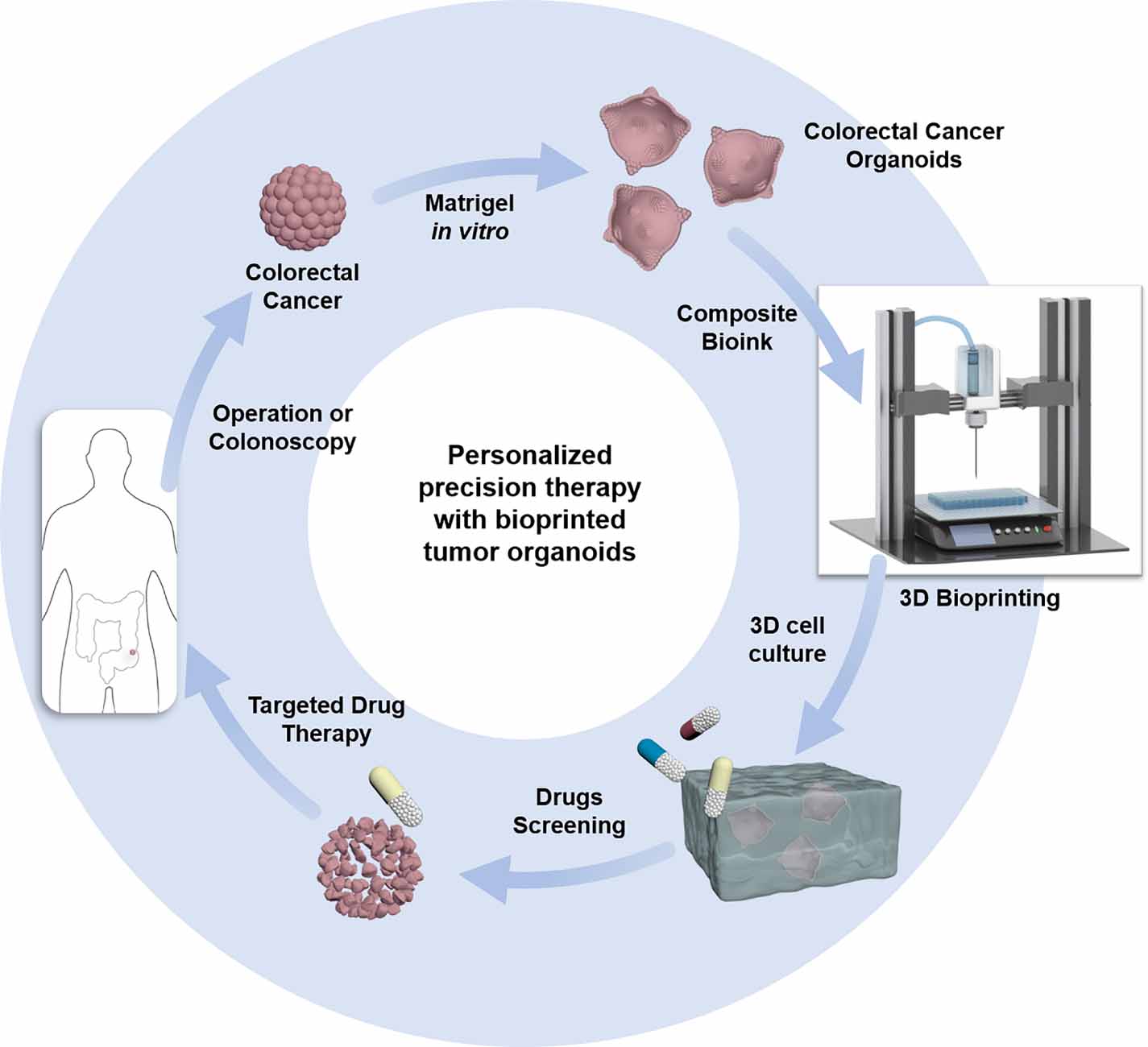 3D bioprinting platform development for high-throughput cancer organoid ...