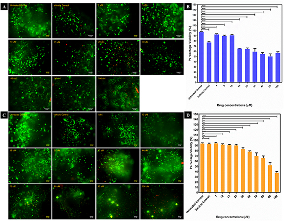 Assessment and process optimization of high throughput biofabrication ...