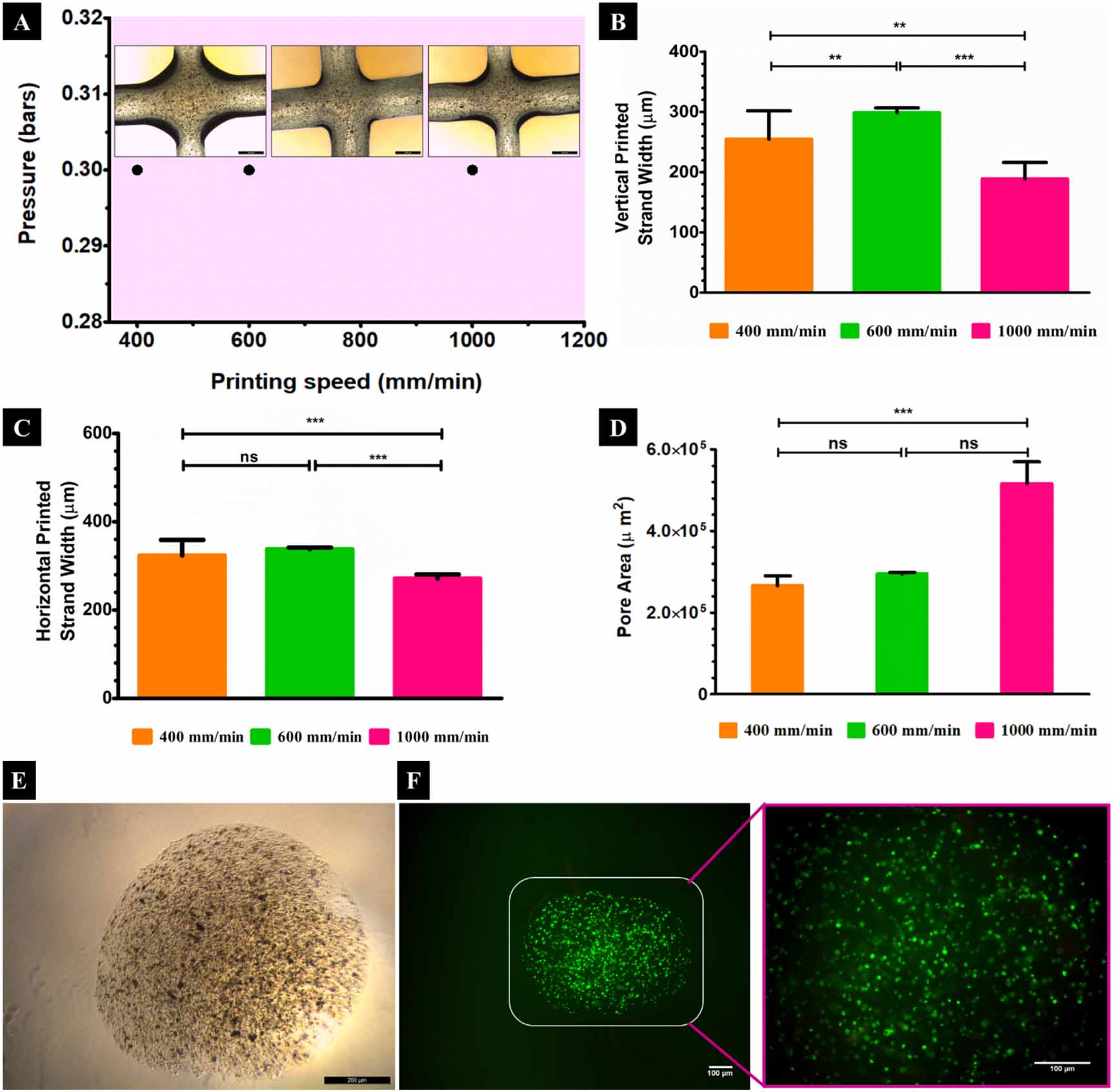 Assessment and process optimization of high throughput biofabrication ...