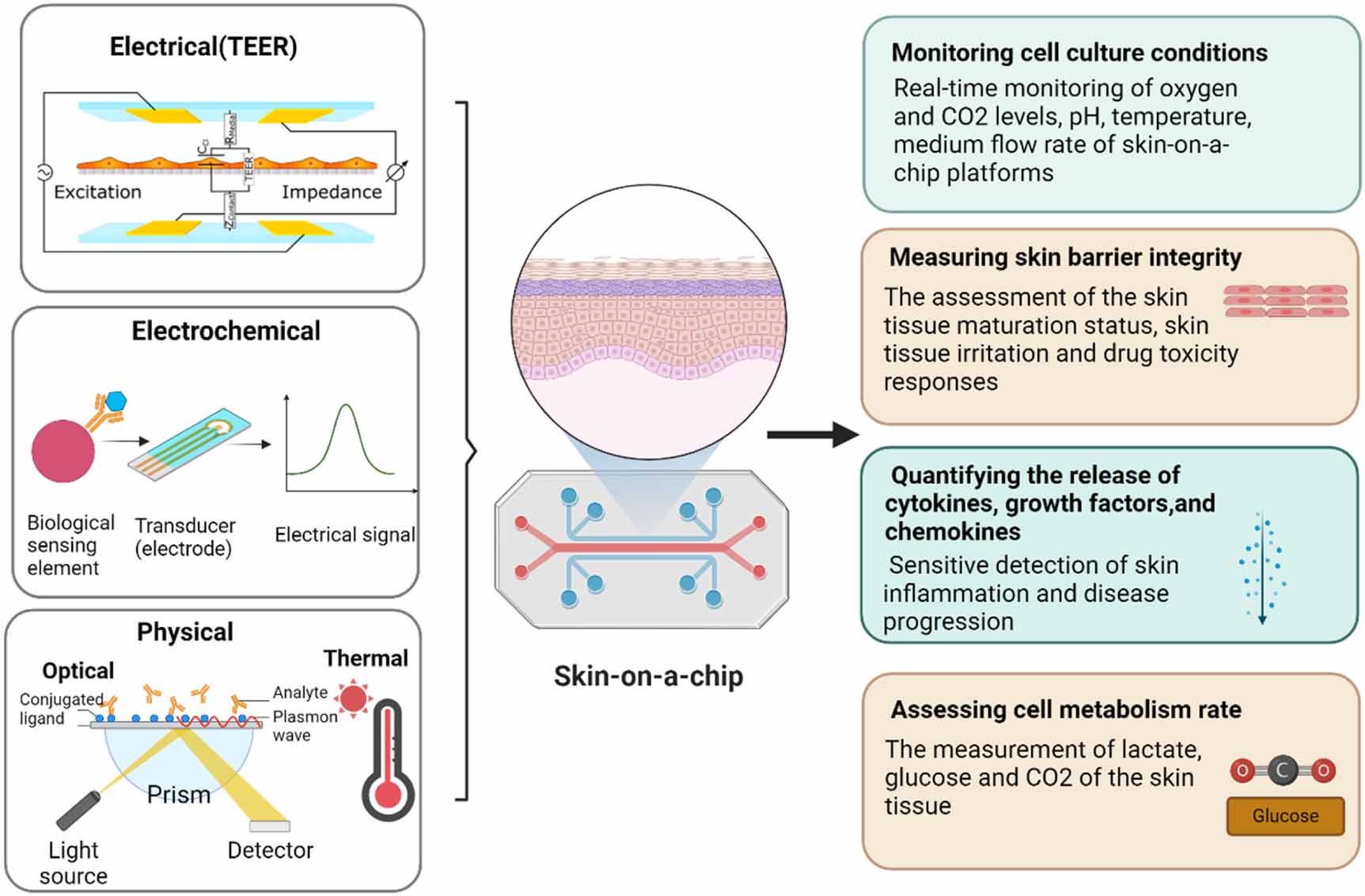 Skin-on-a-chip technologies towards clinical translation and ...