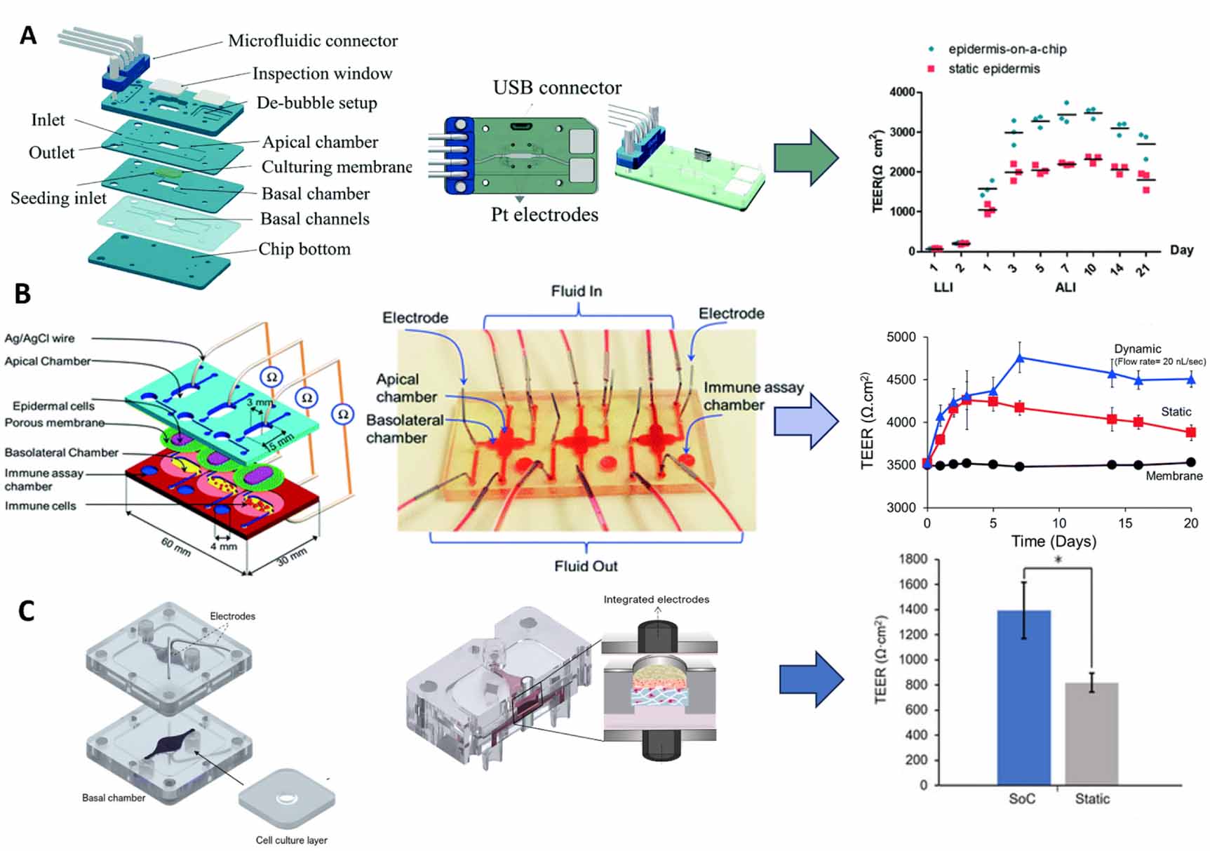 Skin-on-a-chip technologies towards clinical translation and ...