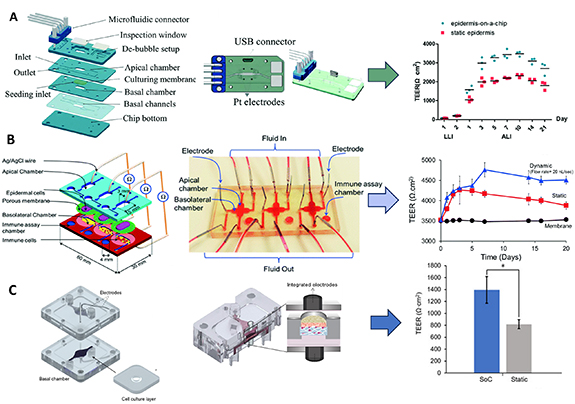 Skin-on-a-chip technologies towards clinical translation and ...