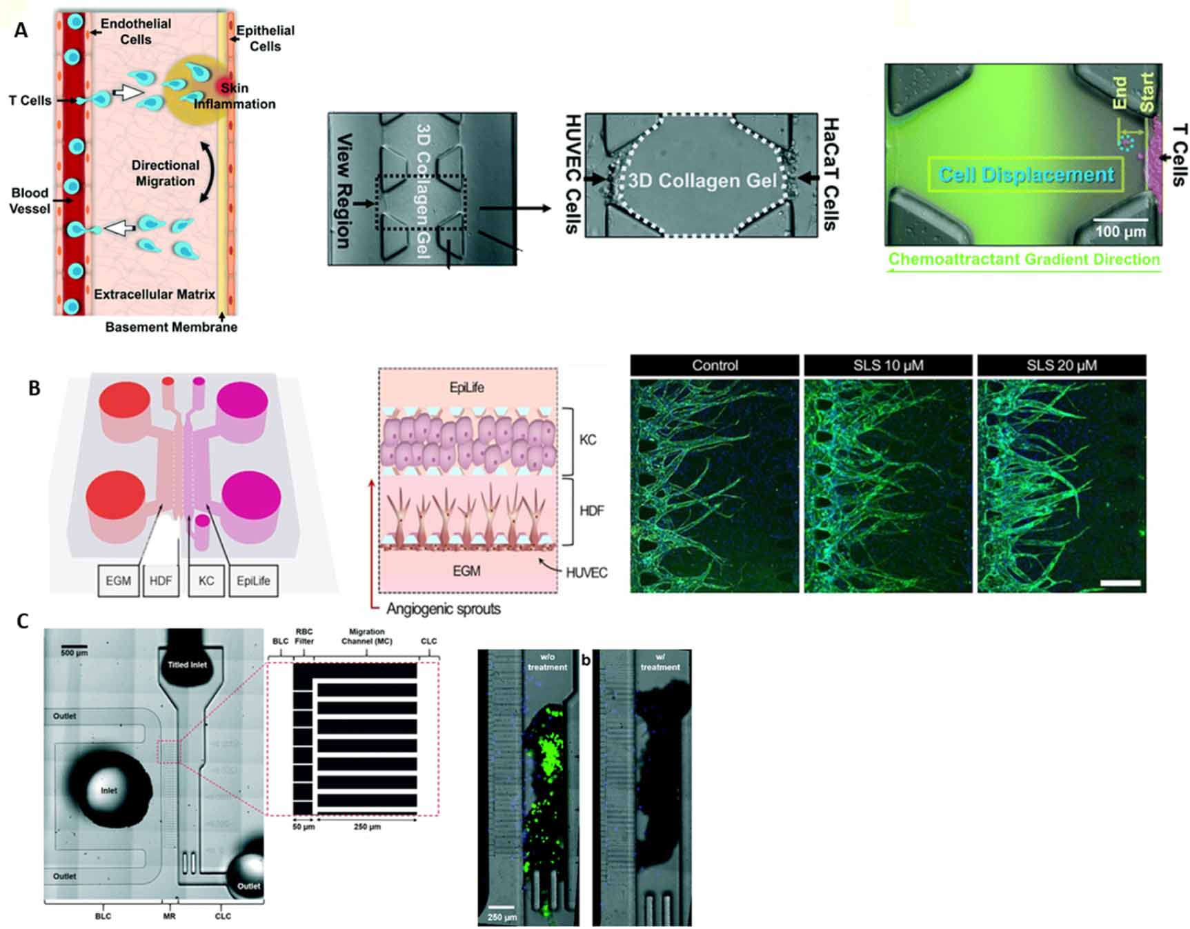 Skin-on-a-chip technologies towards clinical translation and ...