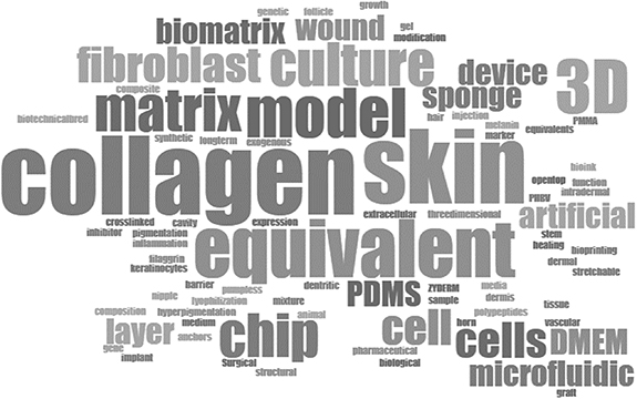 Skin-on-a-chip technologies towards clinical translation and ...