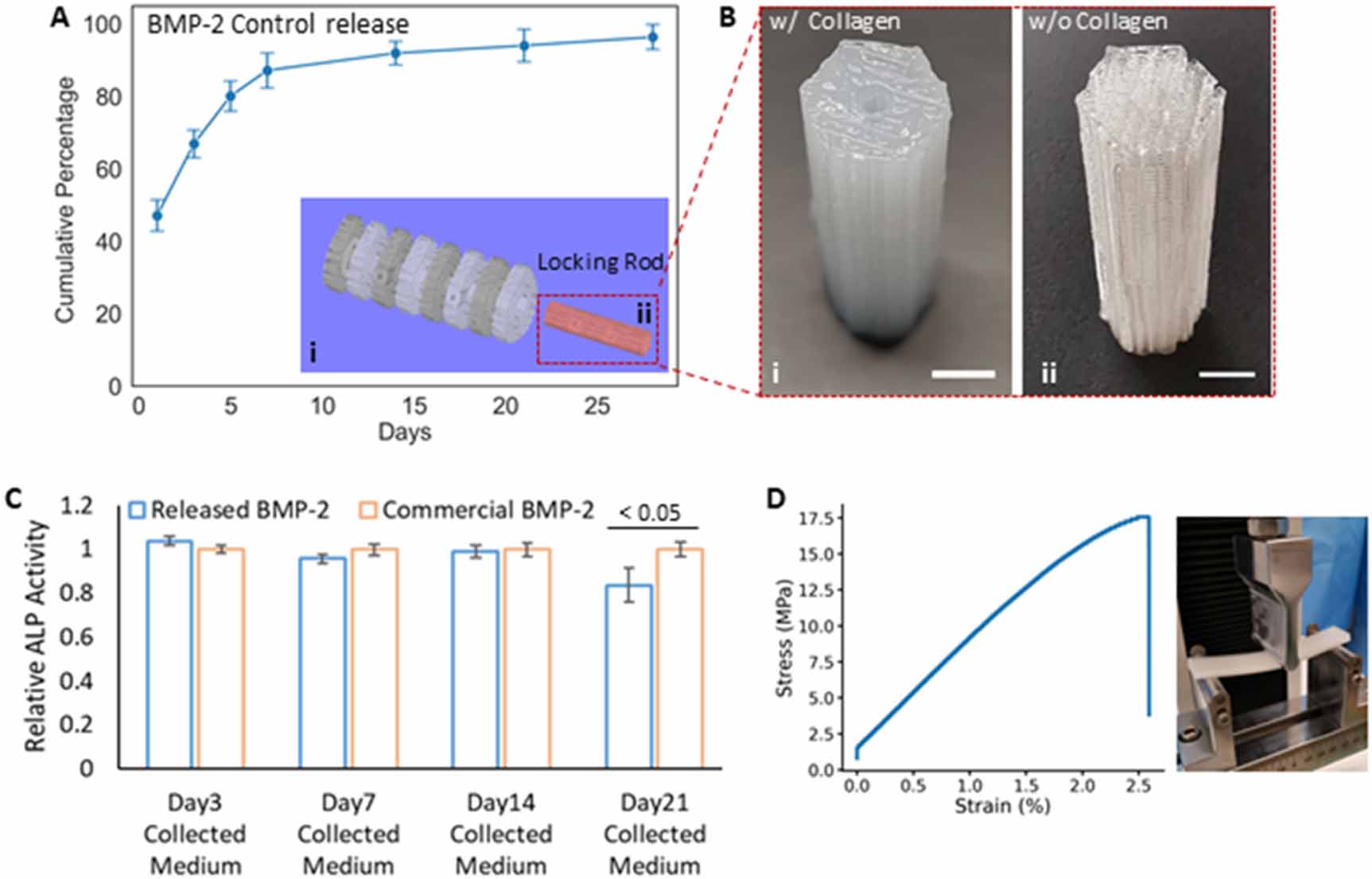 Fabricating vascularized, anatomically accurate bone grafts using 3D ...