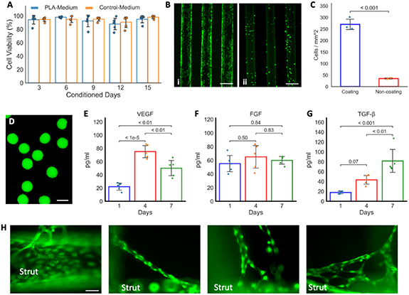Fabricating vascularized, anatomically accurate bone grafts using 3D ...