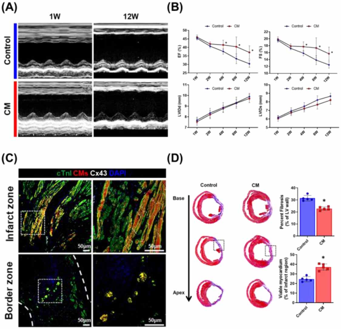 Robust and customizable spheroid culture system for regenerative ...