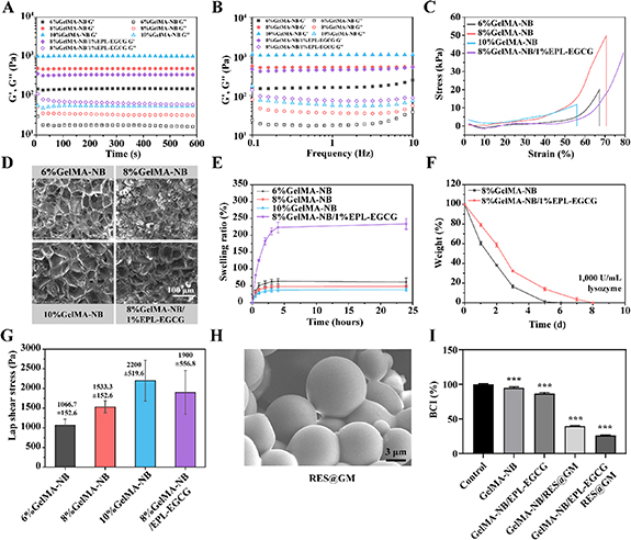 A versatile natural gelatin-based hydrogel for emergency wound ...