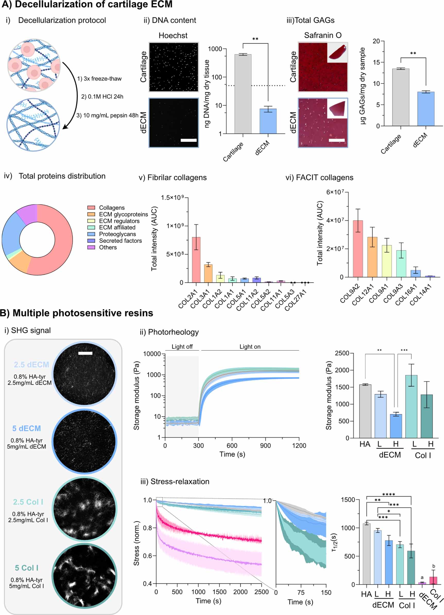 Biofabrication of anisotropic articular cartilage based on ...