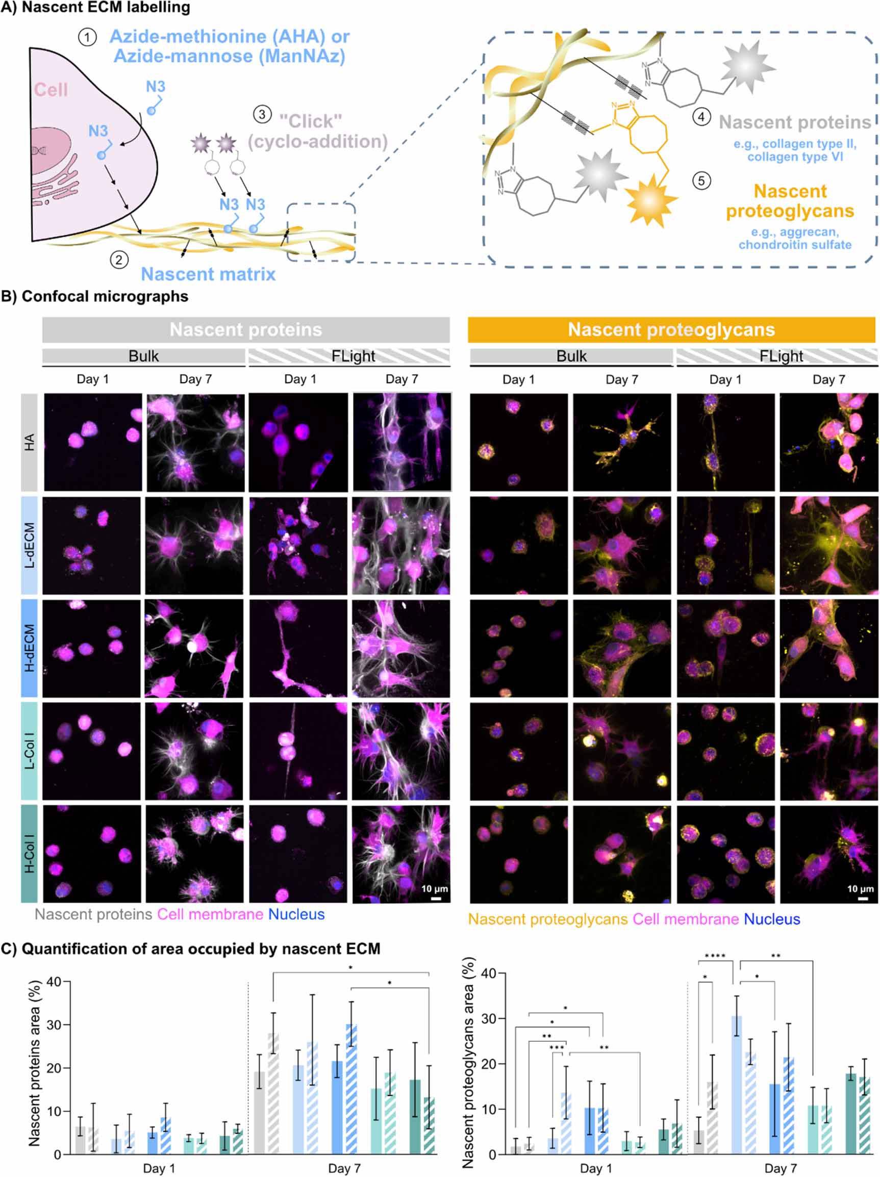 Biofabrication of anisotropic articular cartilage based on ...