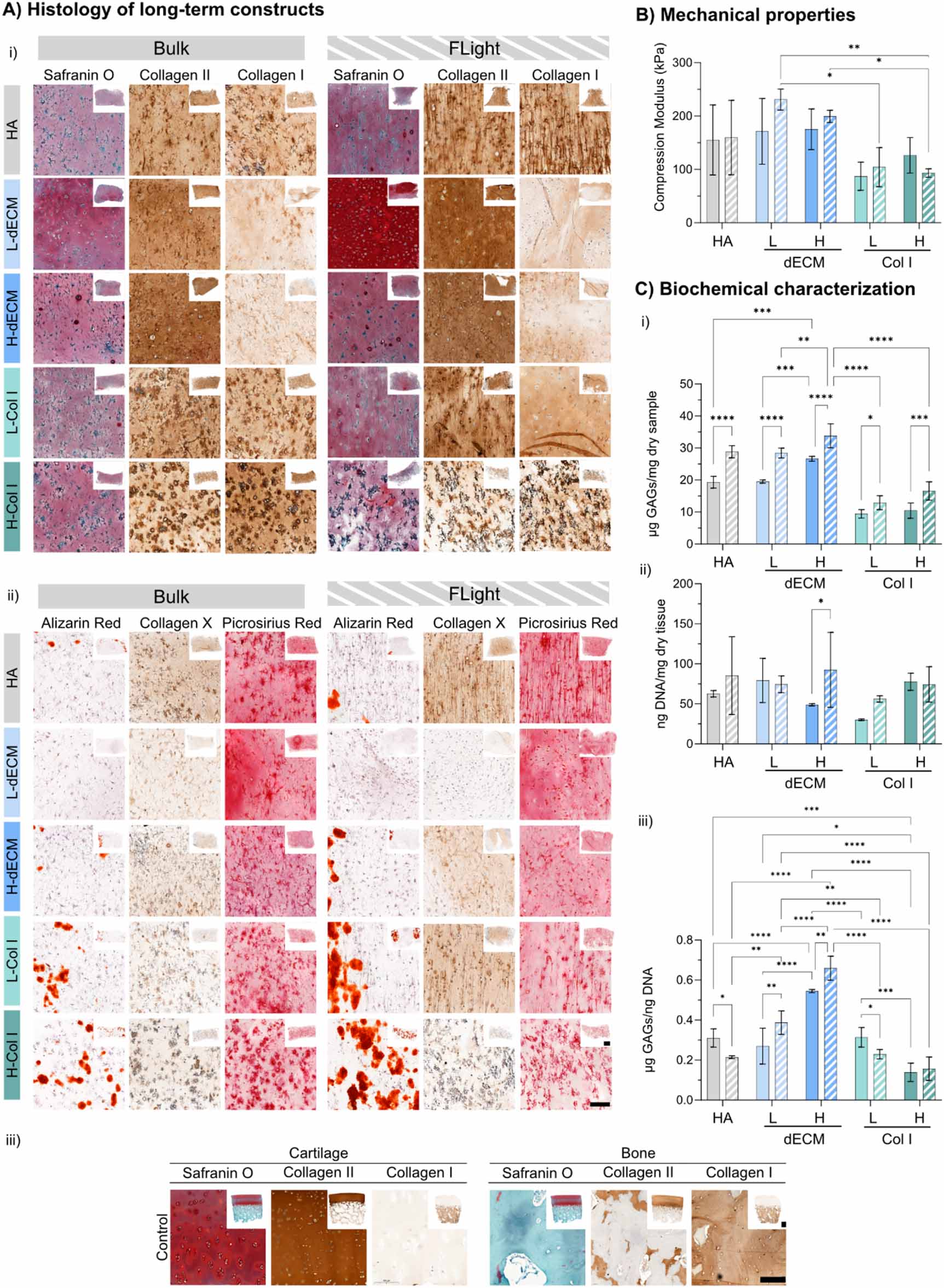 Biofabrication of anisotropic articular cartilage based on ...