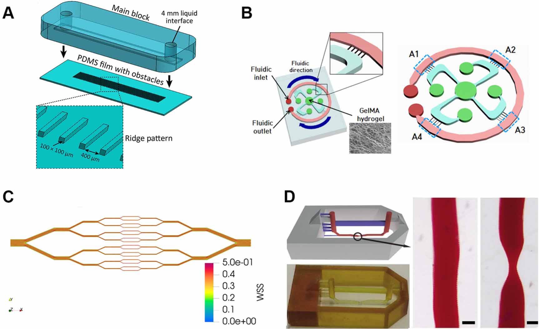 Current progress of in vitro vascular models on microfluidic chips ...