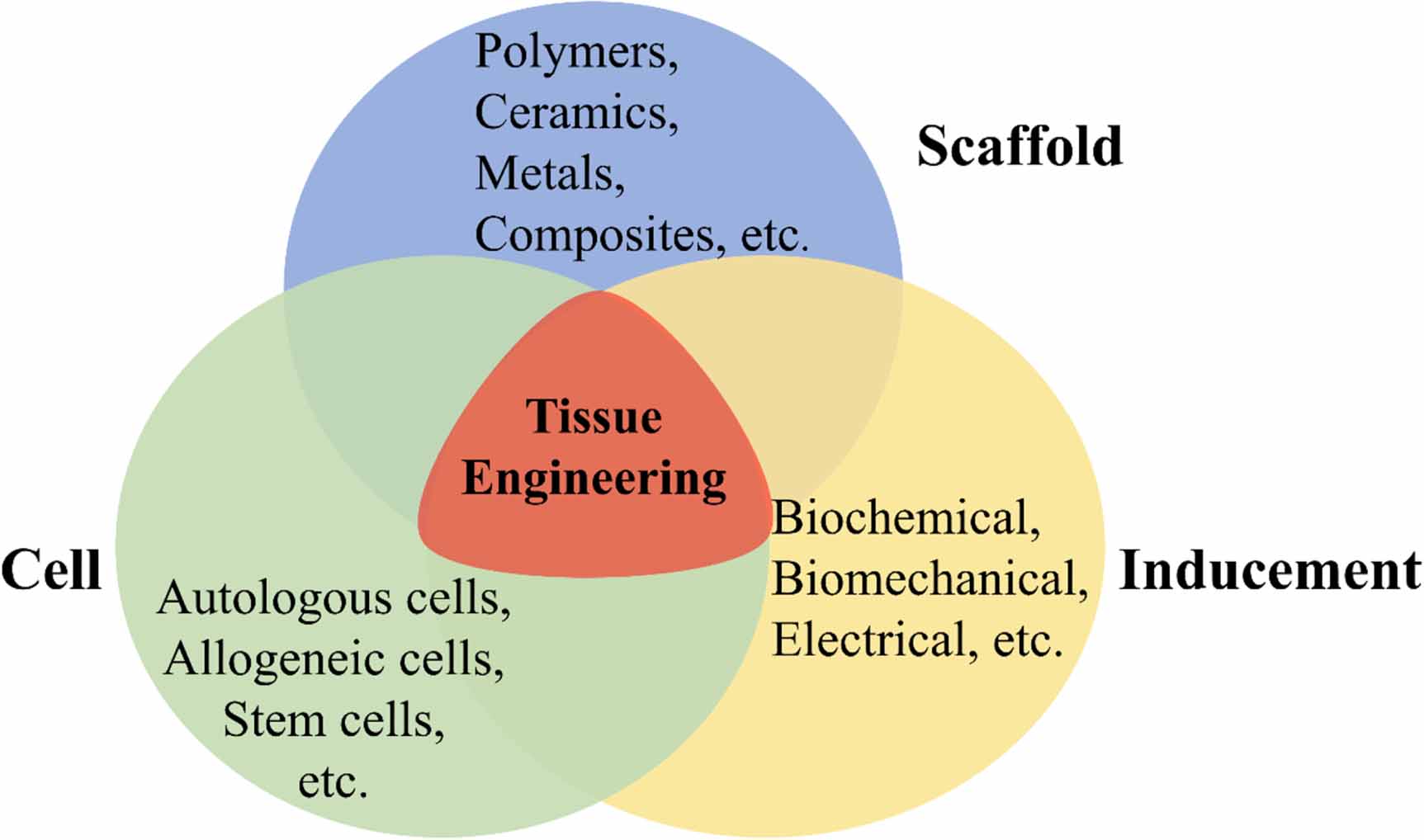 A review of graded scaffolds made by additive manufacturing for tissue ...