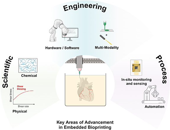Advancing extrusion-based embedded 3D bioprinting via scientific ...