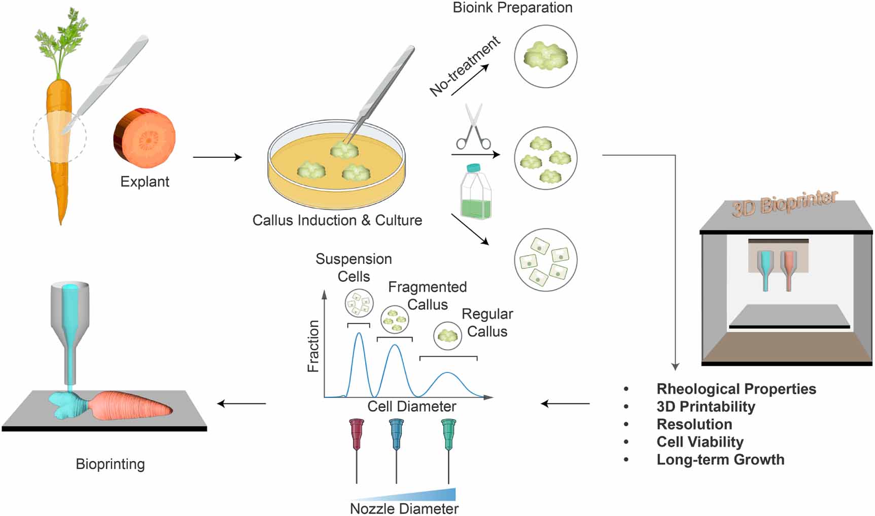 Optimizing extrusion-based 3D bioprinting of plant cells with enhanced ...