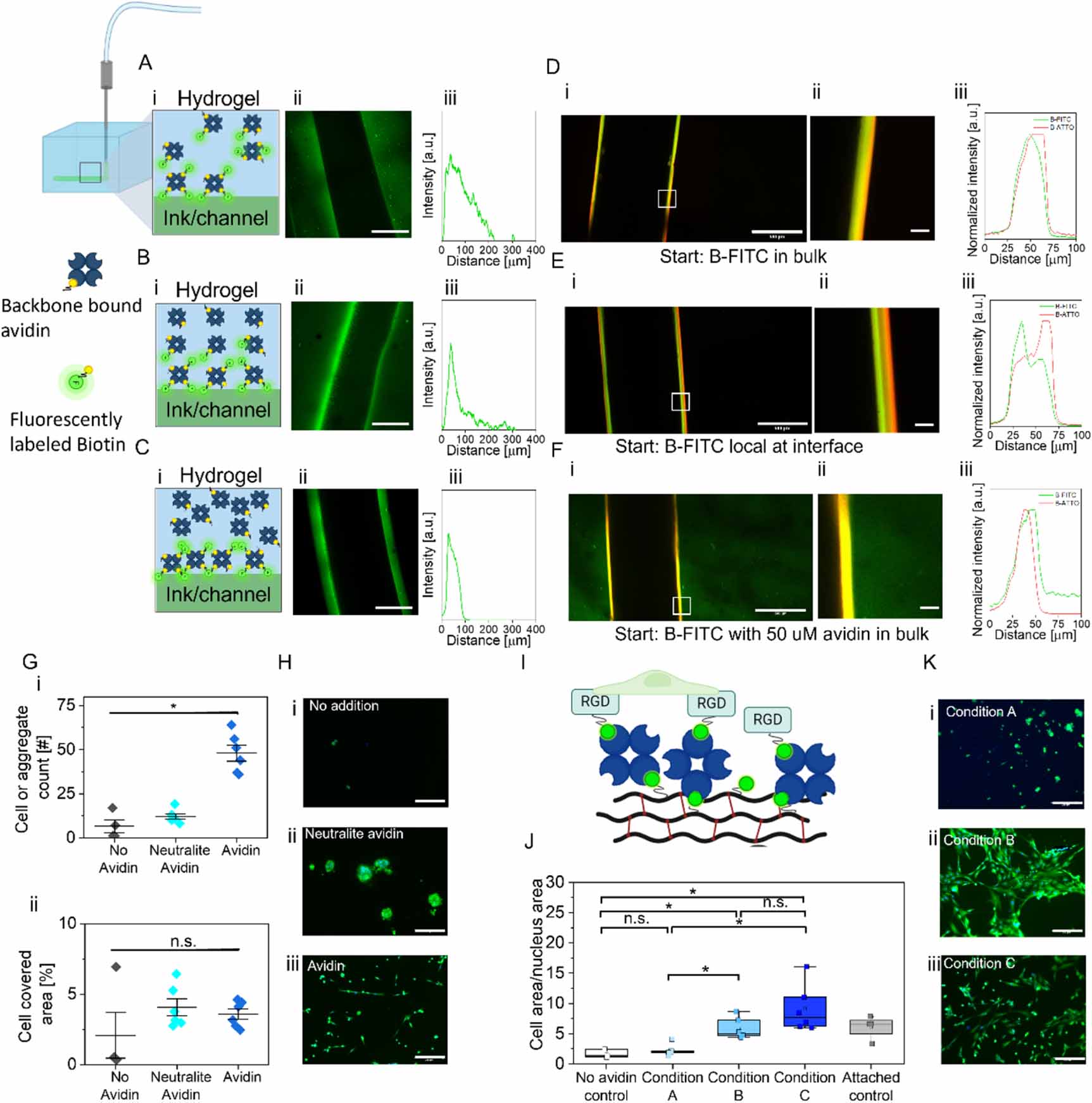 ATPS-enabled single-step printing of chemically and mechanically on ...