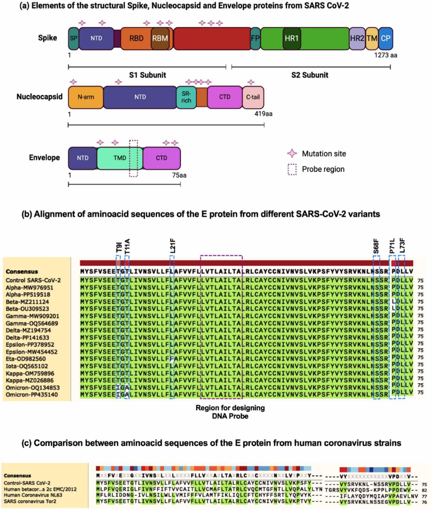 Efficient one-step immobilization of DNA probes on 1DZnO nanoplatforms ...