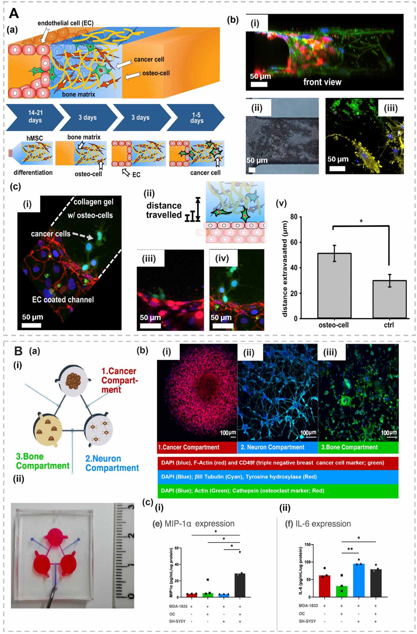 Advances in microfluidic biofabrication technology for bone metastasis ...