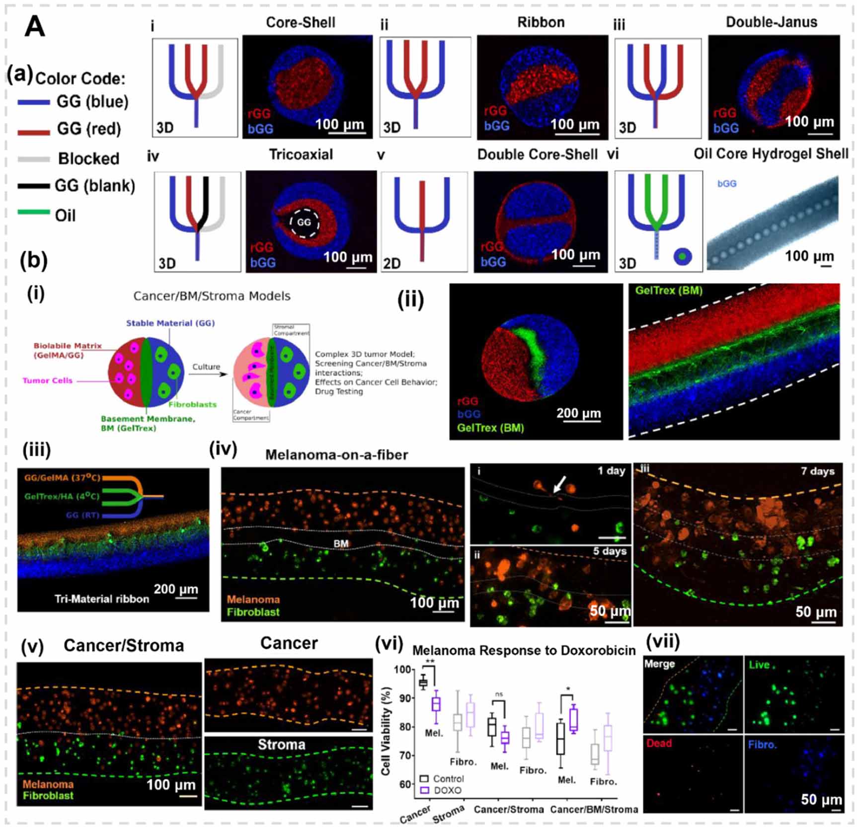 Advances in microfluidic biofabrication technology for bone metastasis ...