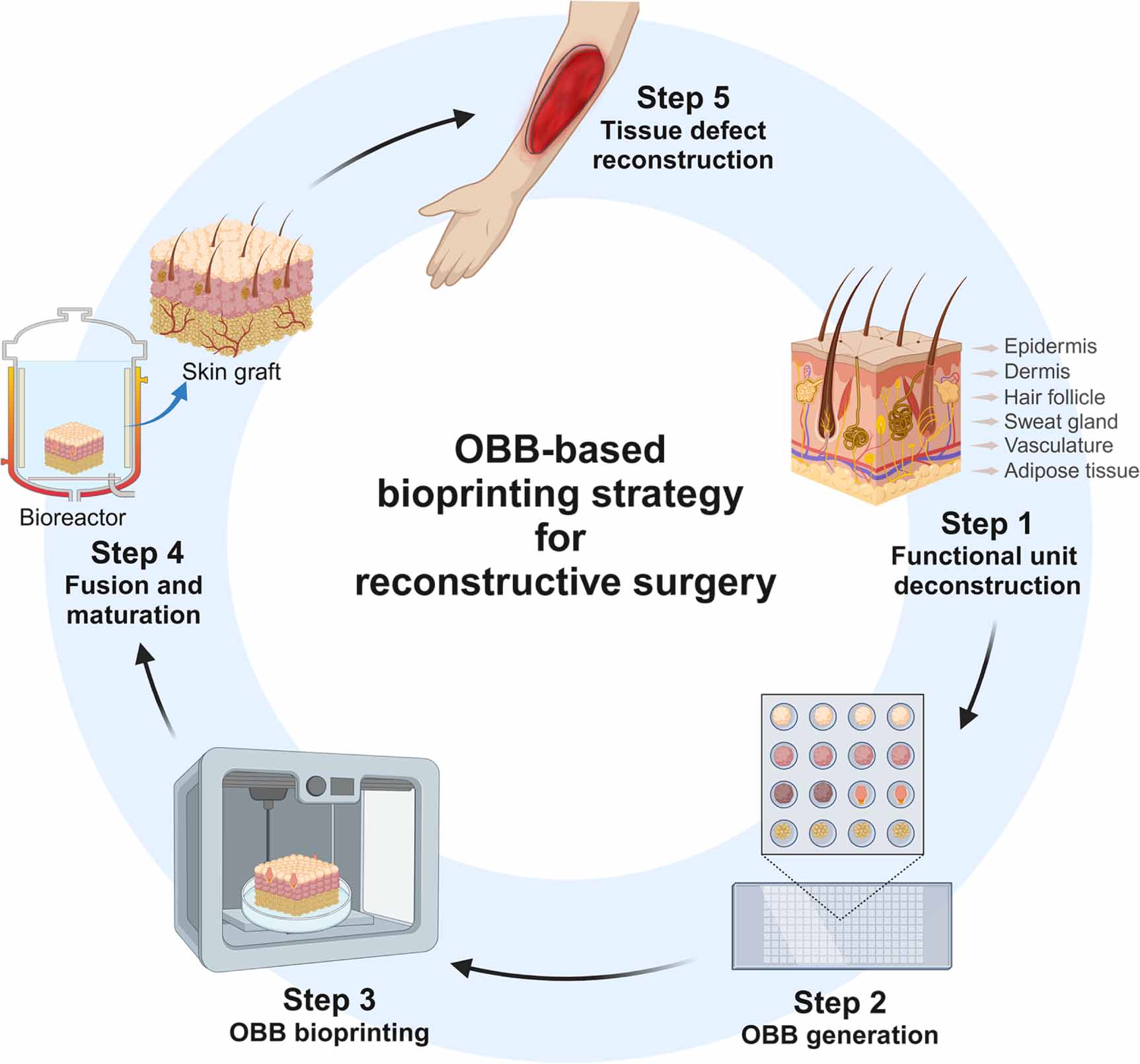 From microtissues to organs: the future of reconstructive surgery with ...