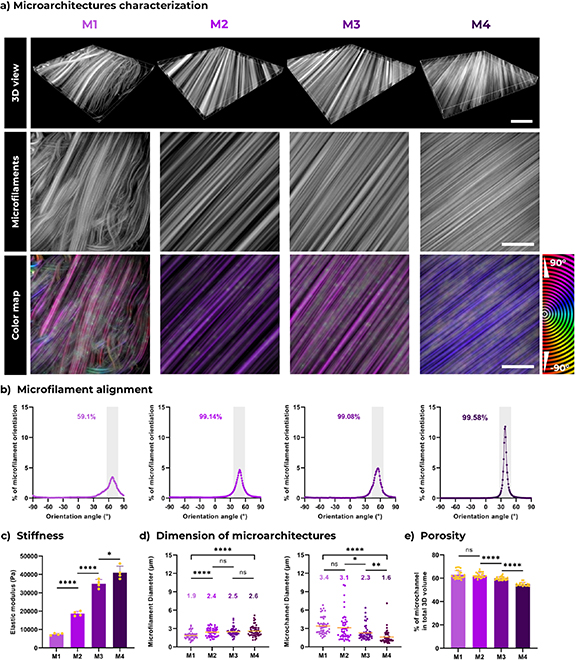 Filamented light (FLight) biofabrication of mini-tendon models show ...