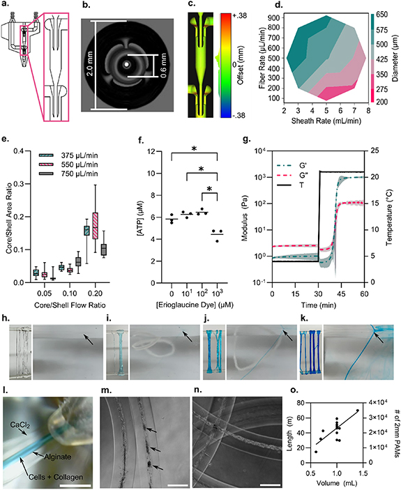 Efficient wet-spinning of pre-aligned microtissues for 3D bioprinting ...