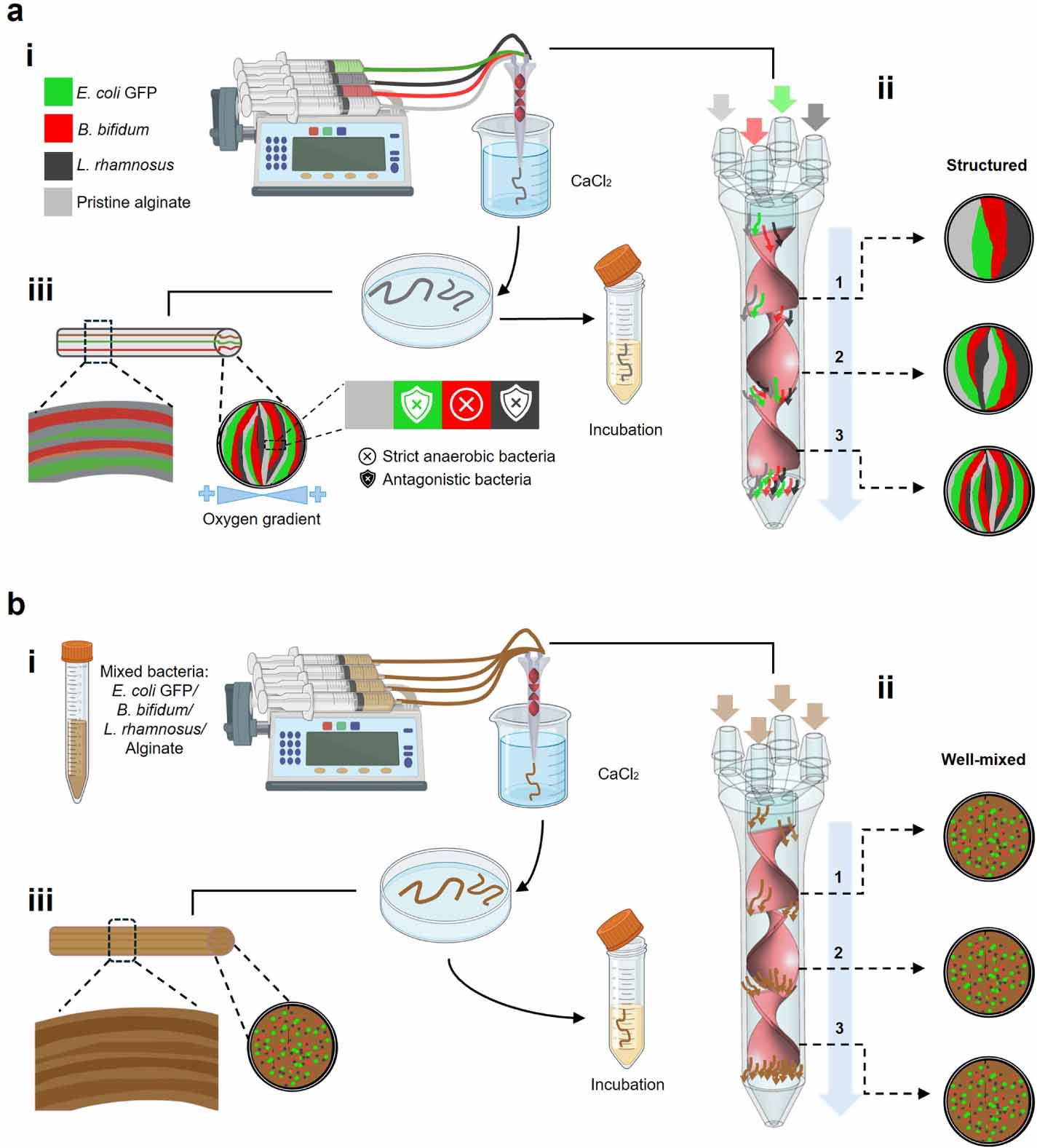 Biofabrication of microstructured bacterial ecosystems using chaotic ...