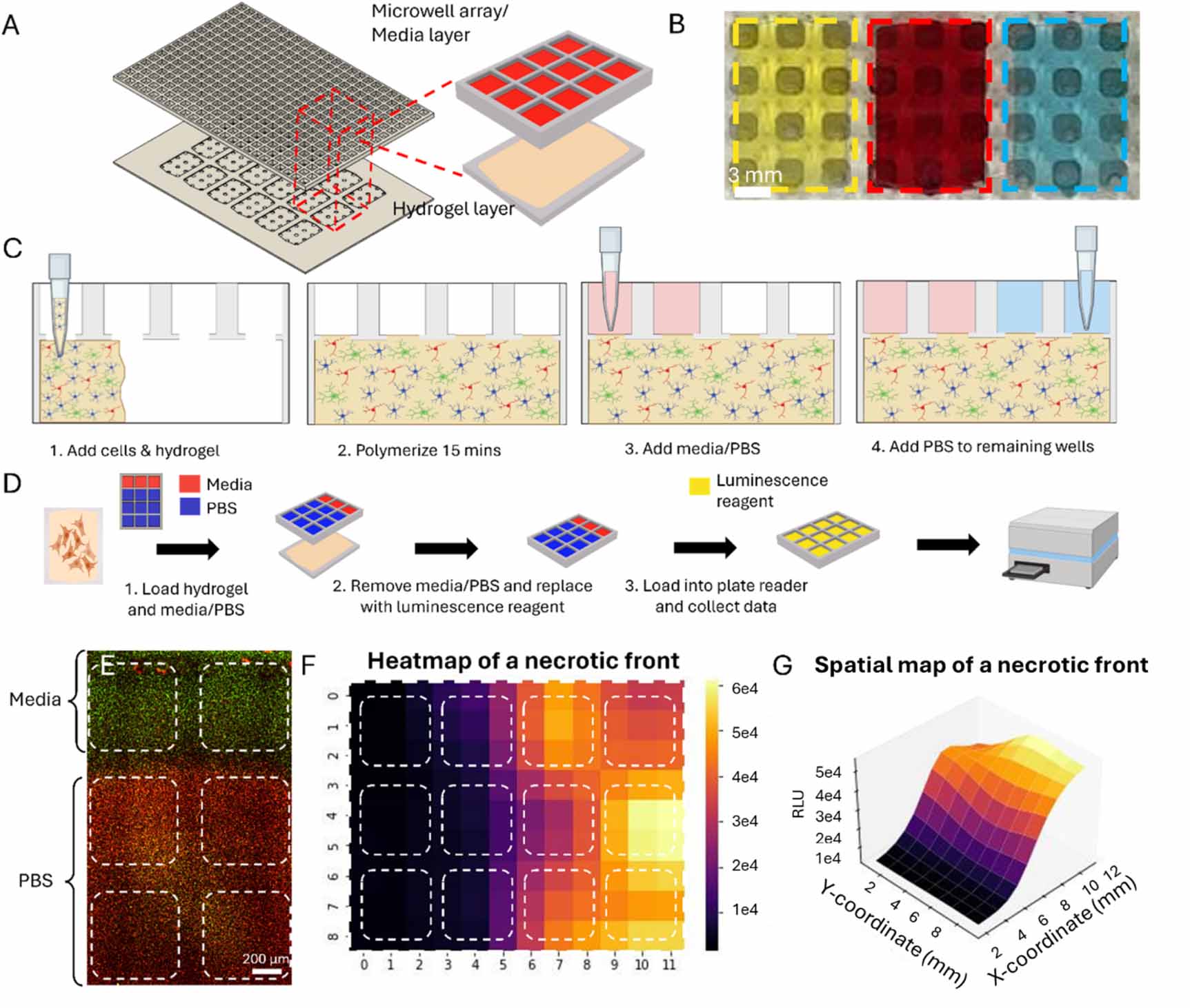 Non-destructive luminescence and PET imaging to monitor tissue ...