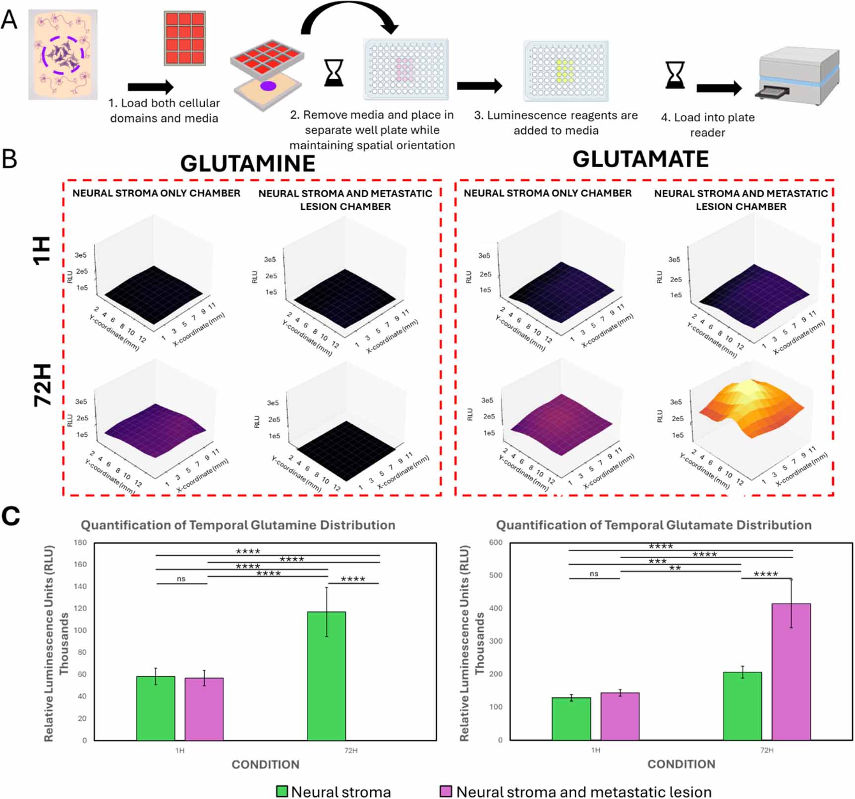 Non-destructive luminescence and PET imaging to monitor tissue ...