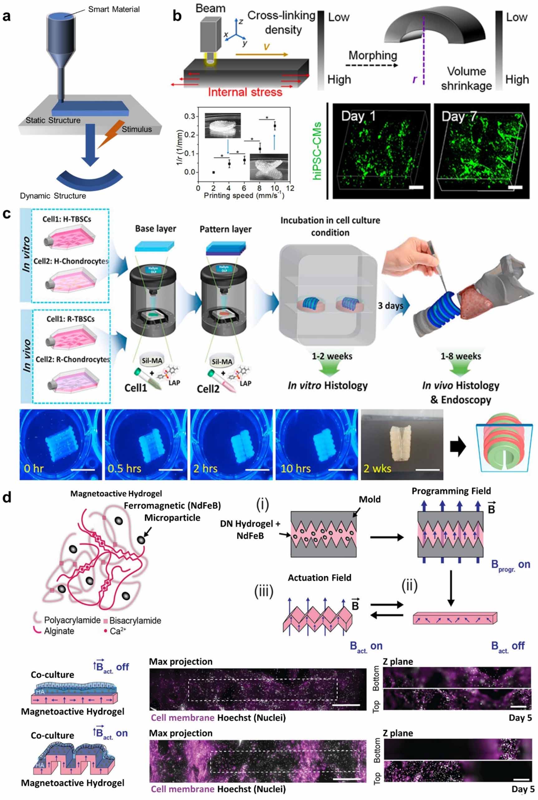 3D bioprinting in tissue engineering: current state-of-the-art and ...