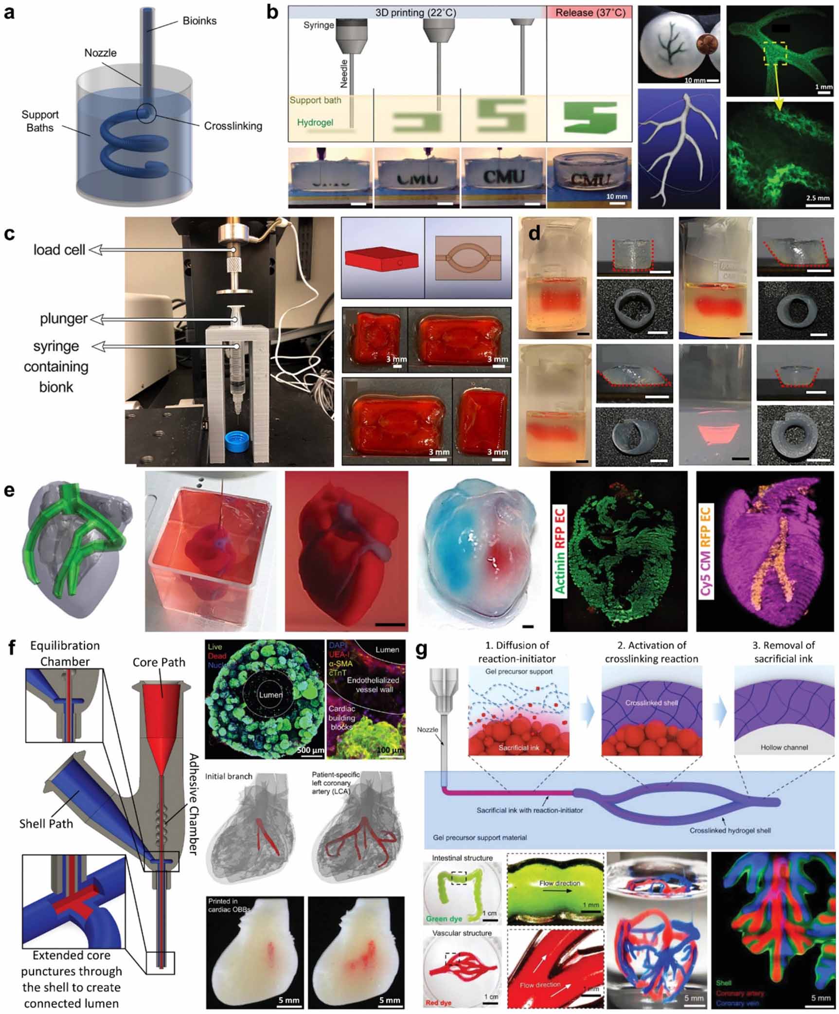 3D bioprinting in tissue engineering: current state-of-the-art and ...