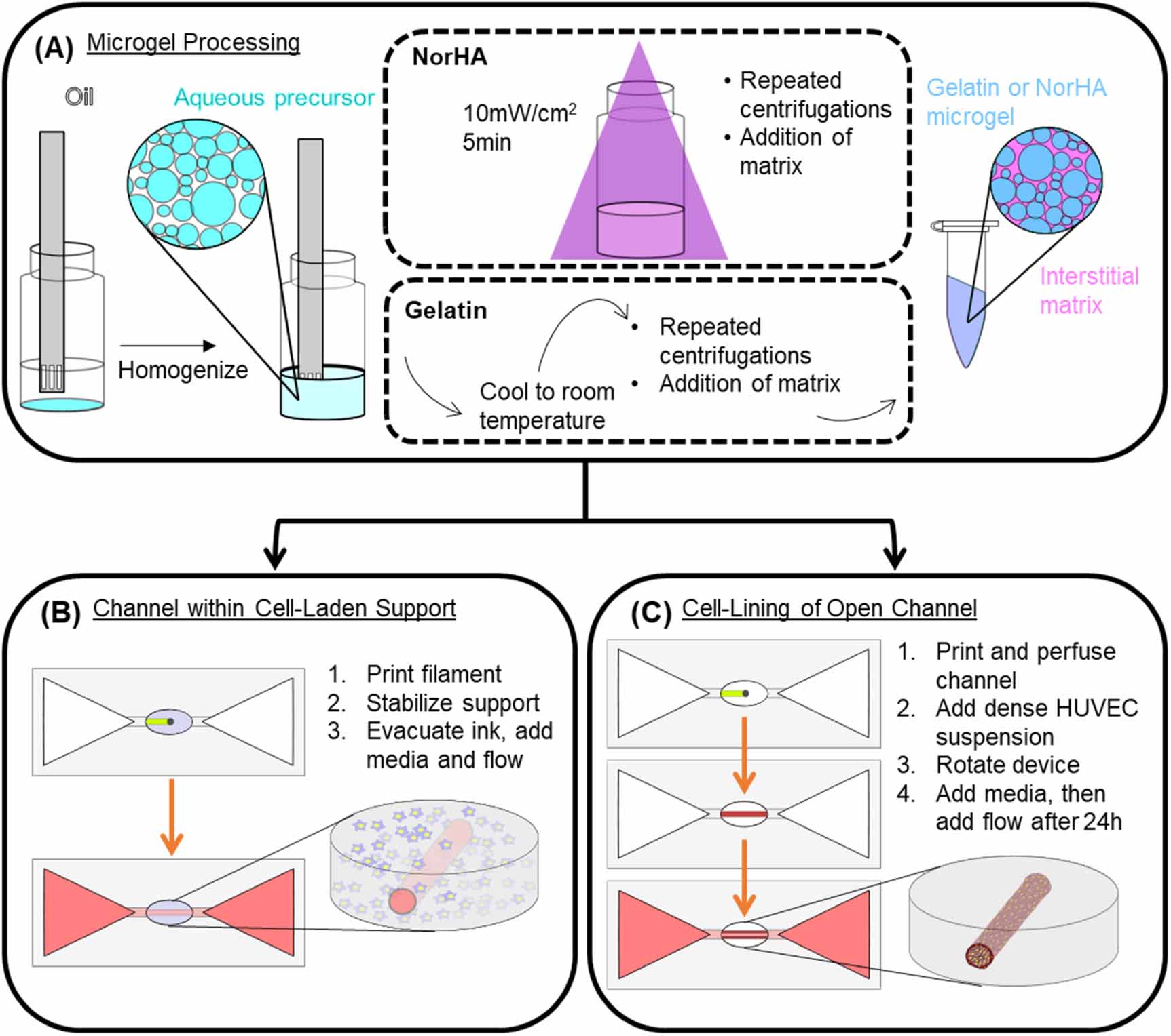 Particle-based hydrogel inks and support matrices for biofabricating ...