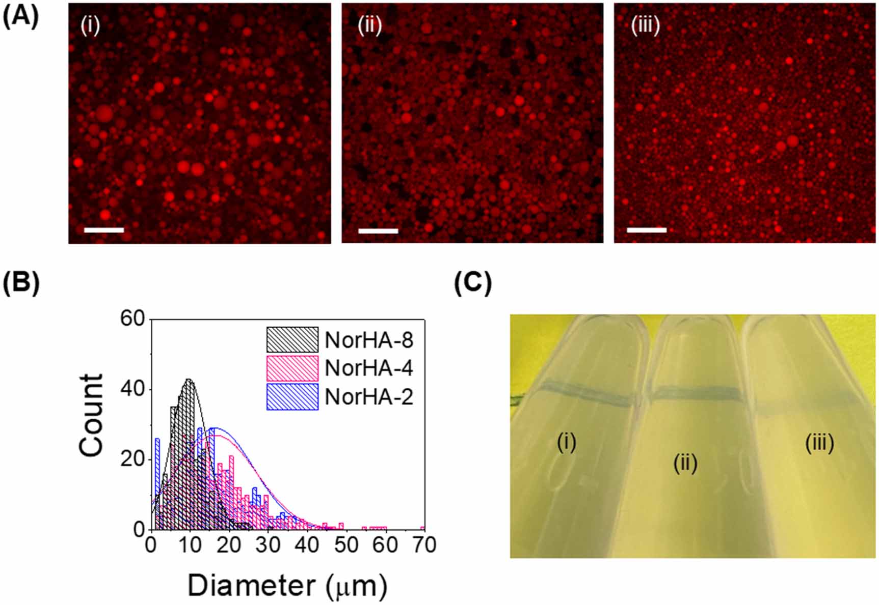 Particle-based hydrogel inks and support matrices for biofabricating ...