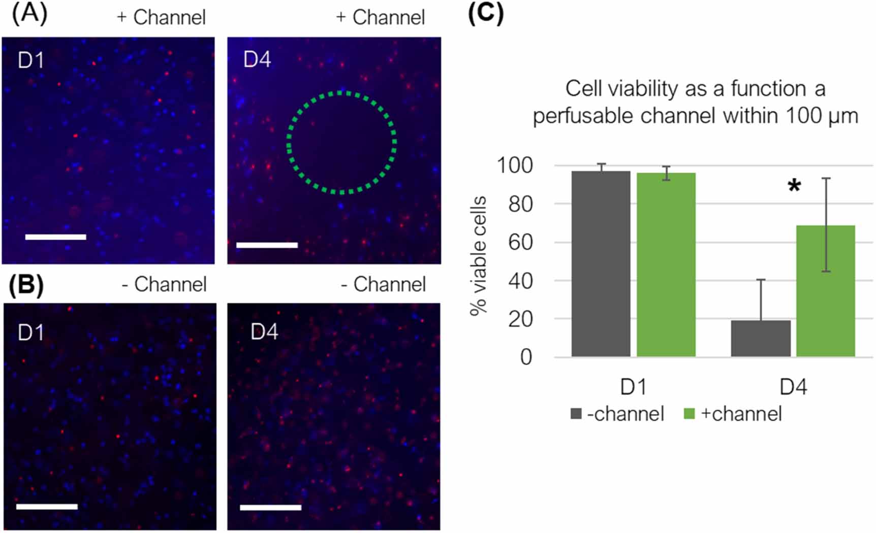 Particle-based hydrogel inks and support matrices for biofabricating ...