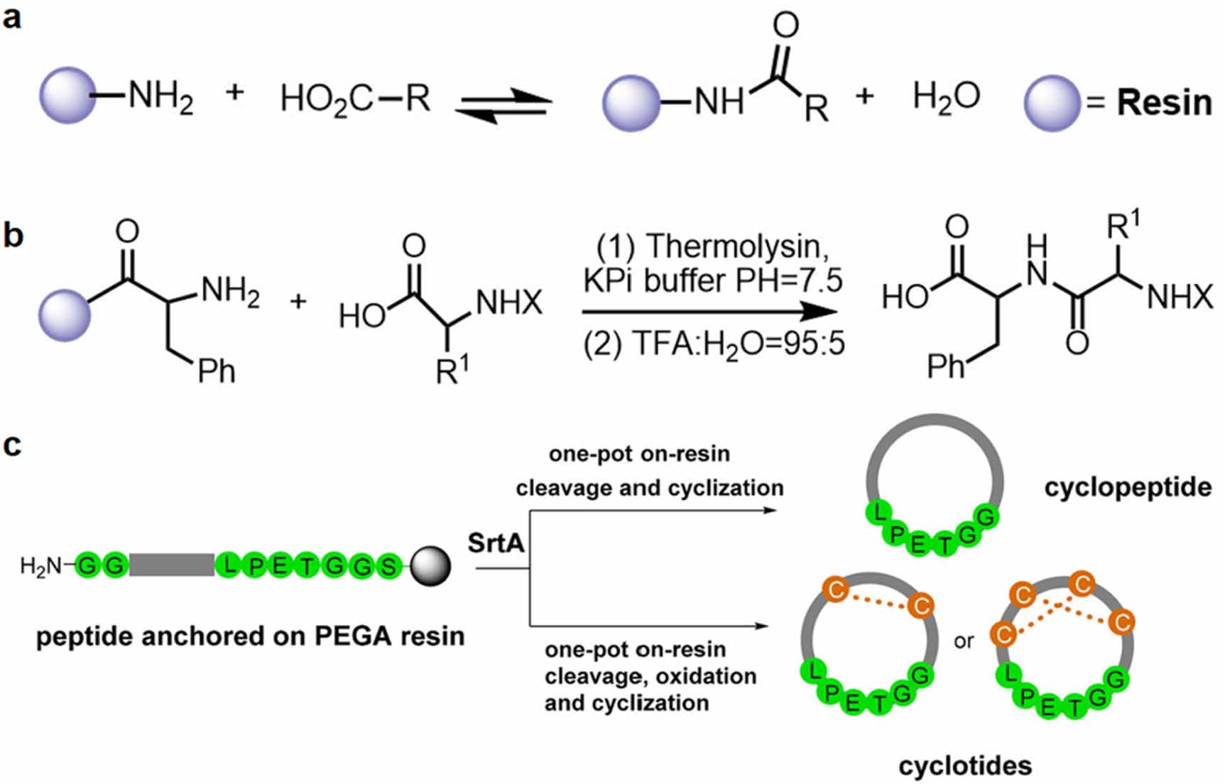 Peptide synthesis: a review of classical and emerging methods - IOPscience