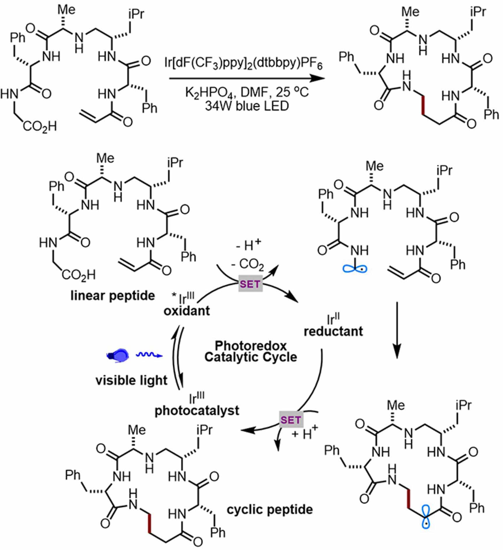 Peptide synthesis: a review of classical and emerging methods - IOPscience