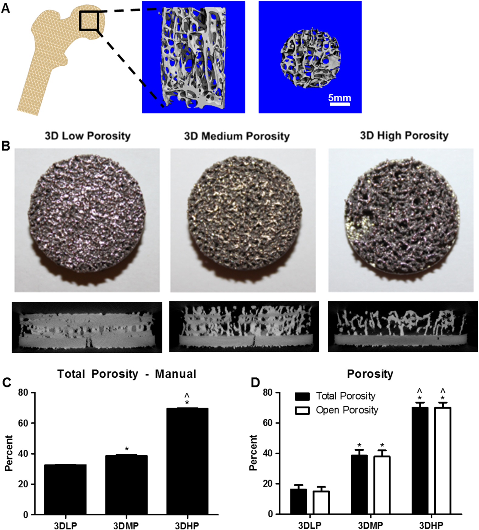 Additively manufactured 3D porous Ti-6Al-4V constructs mimic trabecular ...