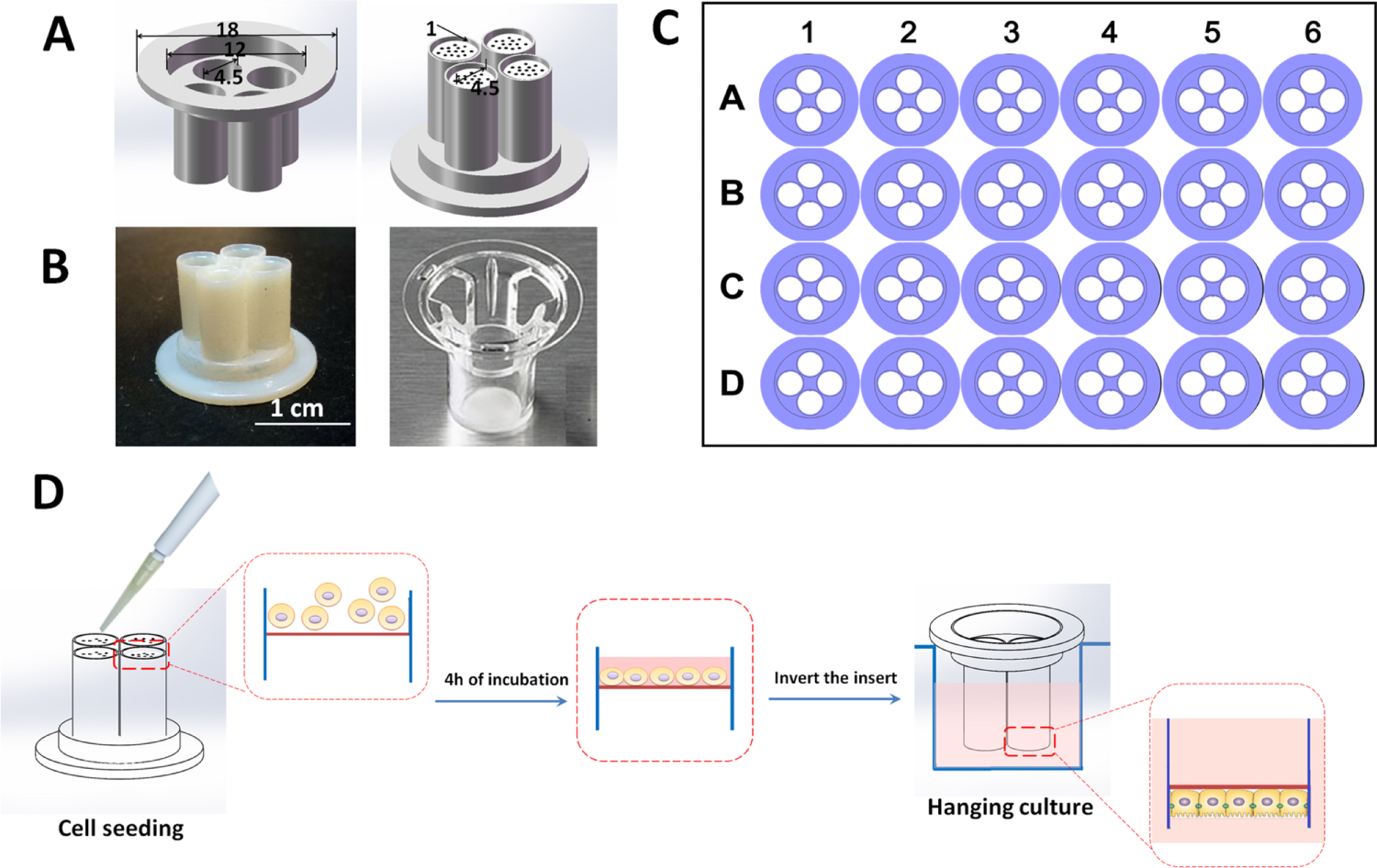 Design of 3D printed insert for hanging culture of Caco-2 cells ...