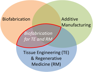 Biofabrication: reappraising the definition of an evolving field ...
