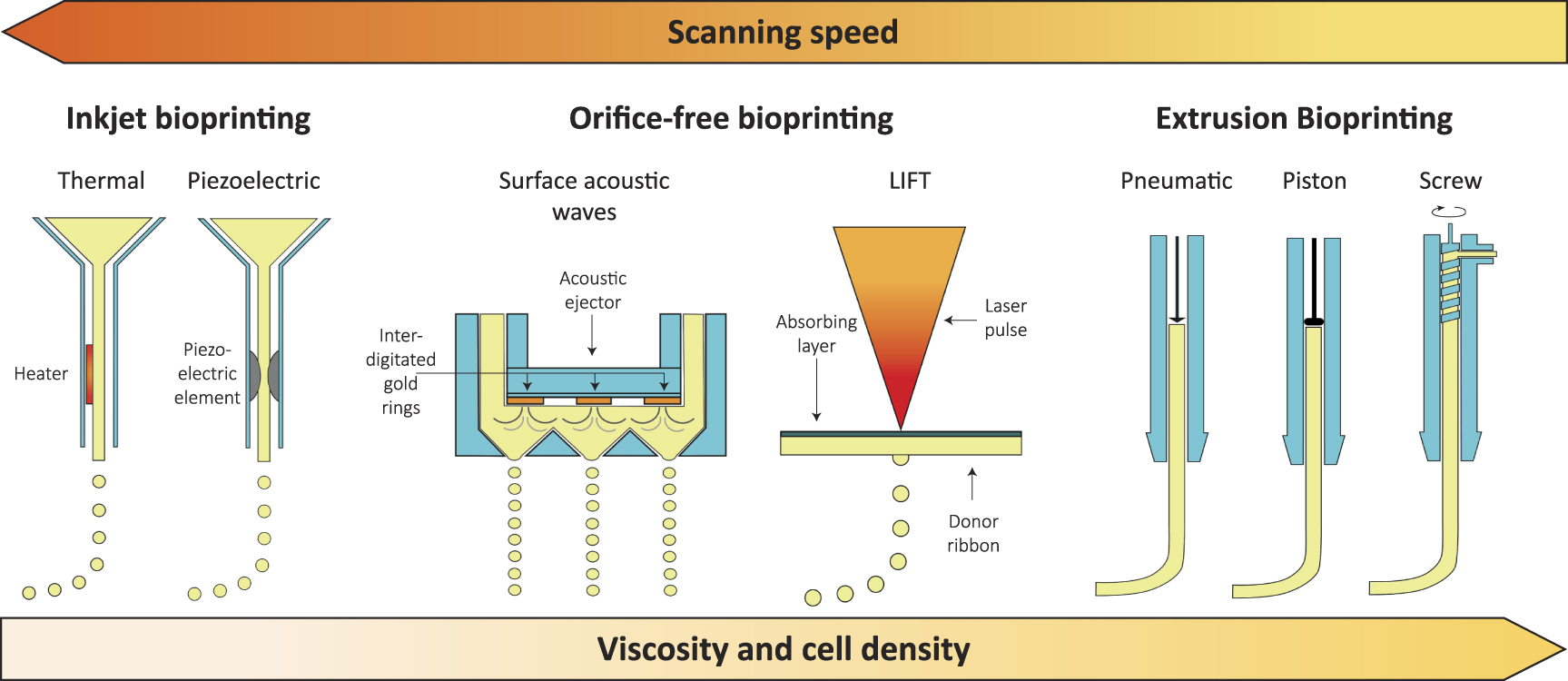 Bioink properties before, during and after 3D bioprinting - IOPscience