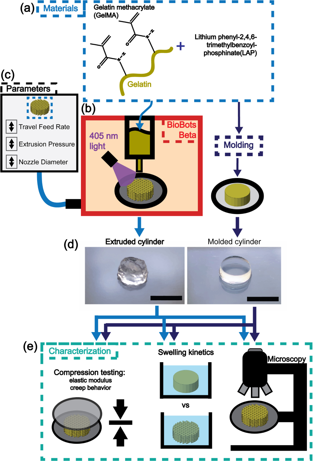 Differences in time-dependent mechanical properties between extruded ...