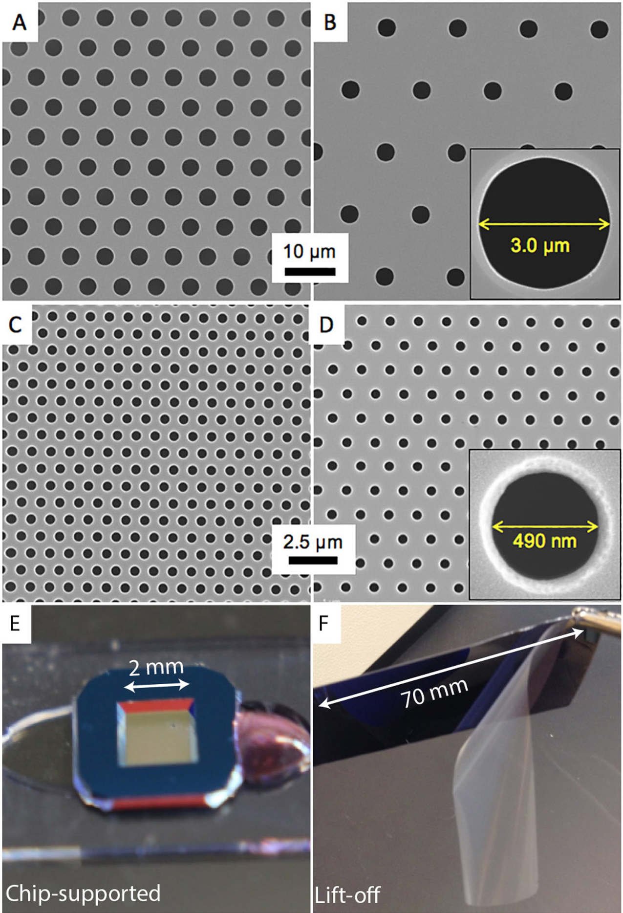 Ultrathin transparent membranes for cellular barrier and co-culture ...