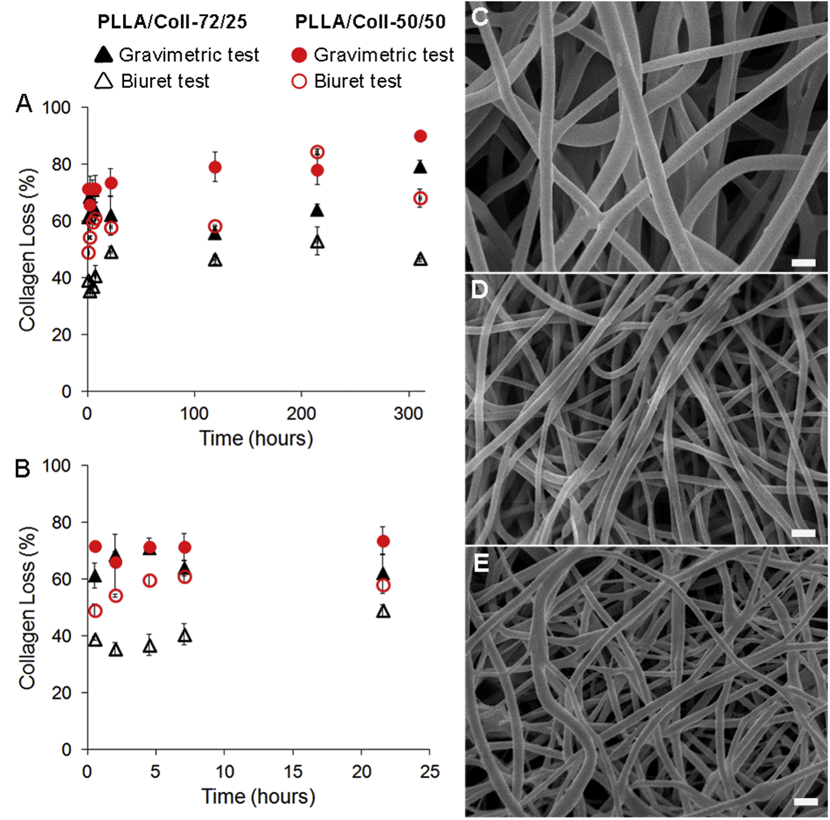 Biofabrication of bundles of poly(lactic acid)-collagen blends ...