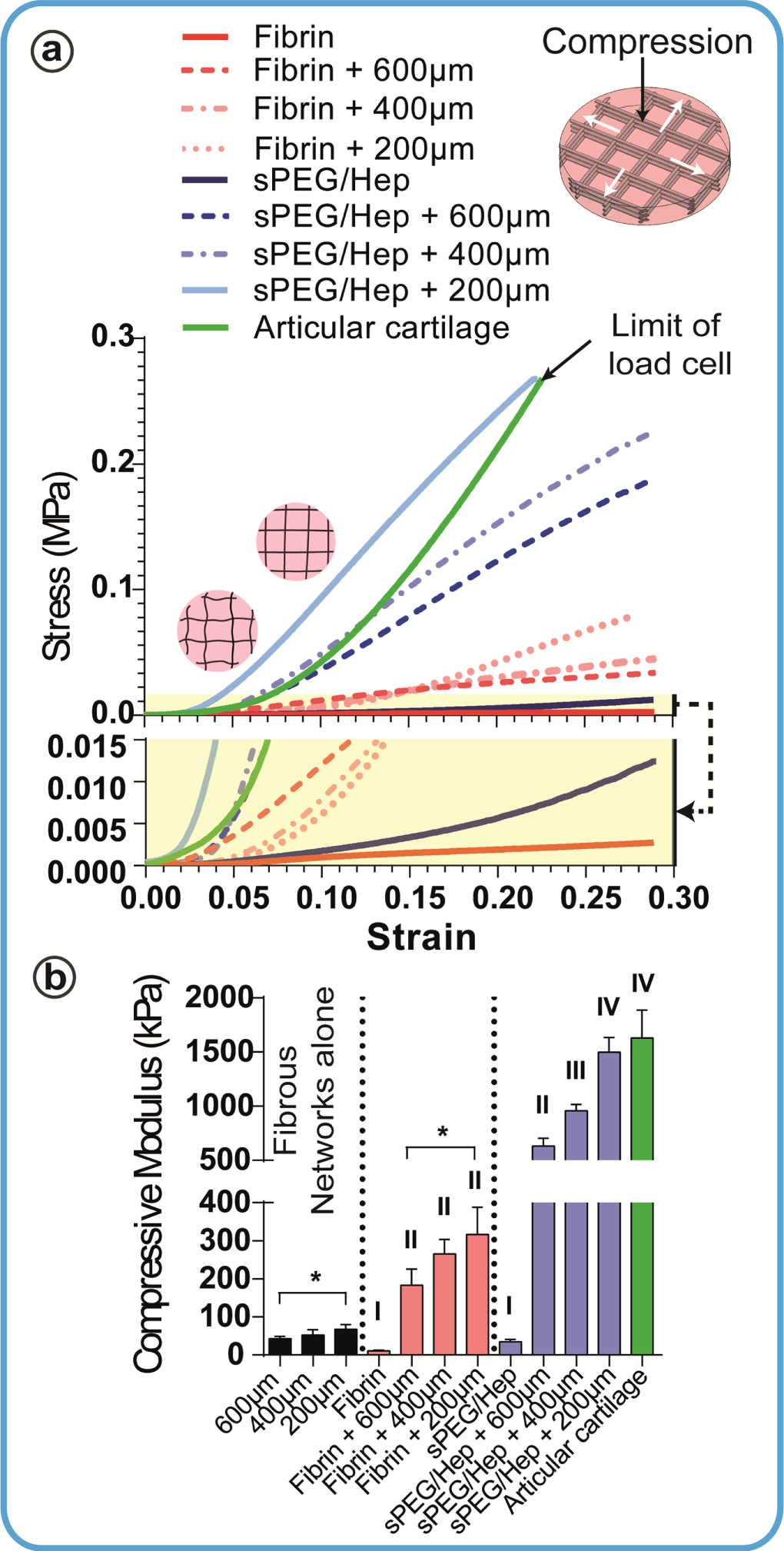 Biofabricated soft network composites for cartilage tissue engineering ...