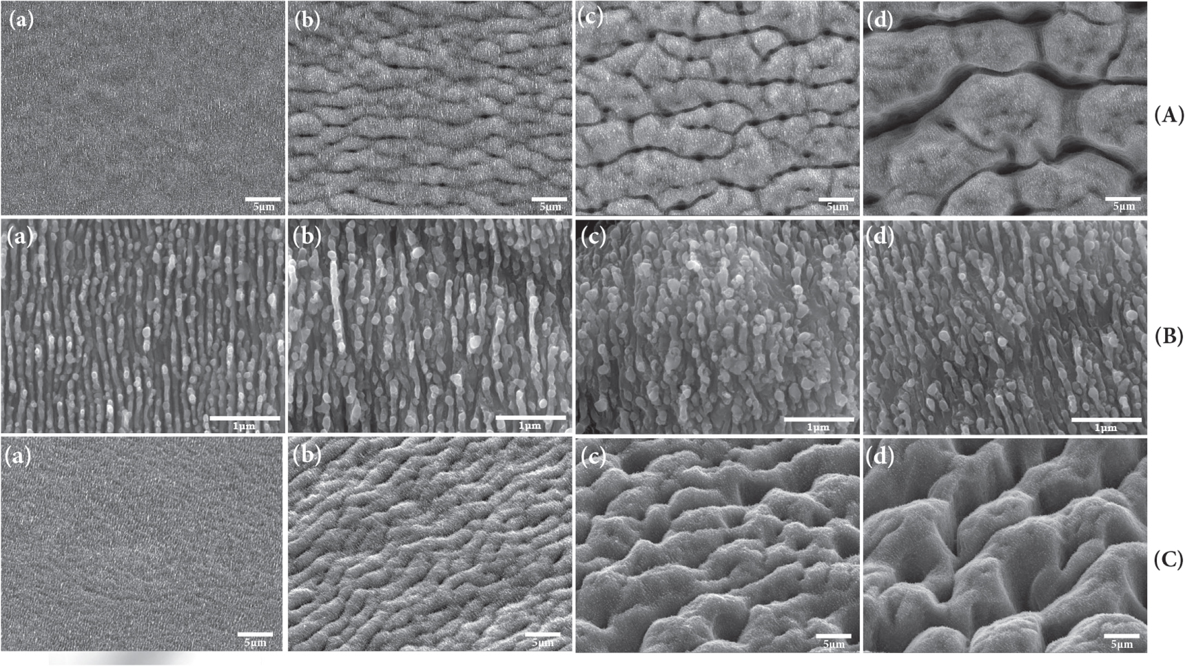 Cell patterning via laser micro/nano structured silicon surfaces ...