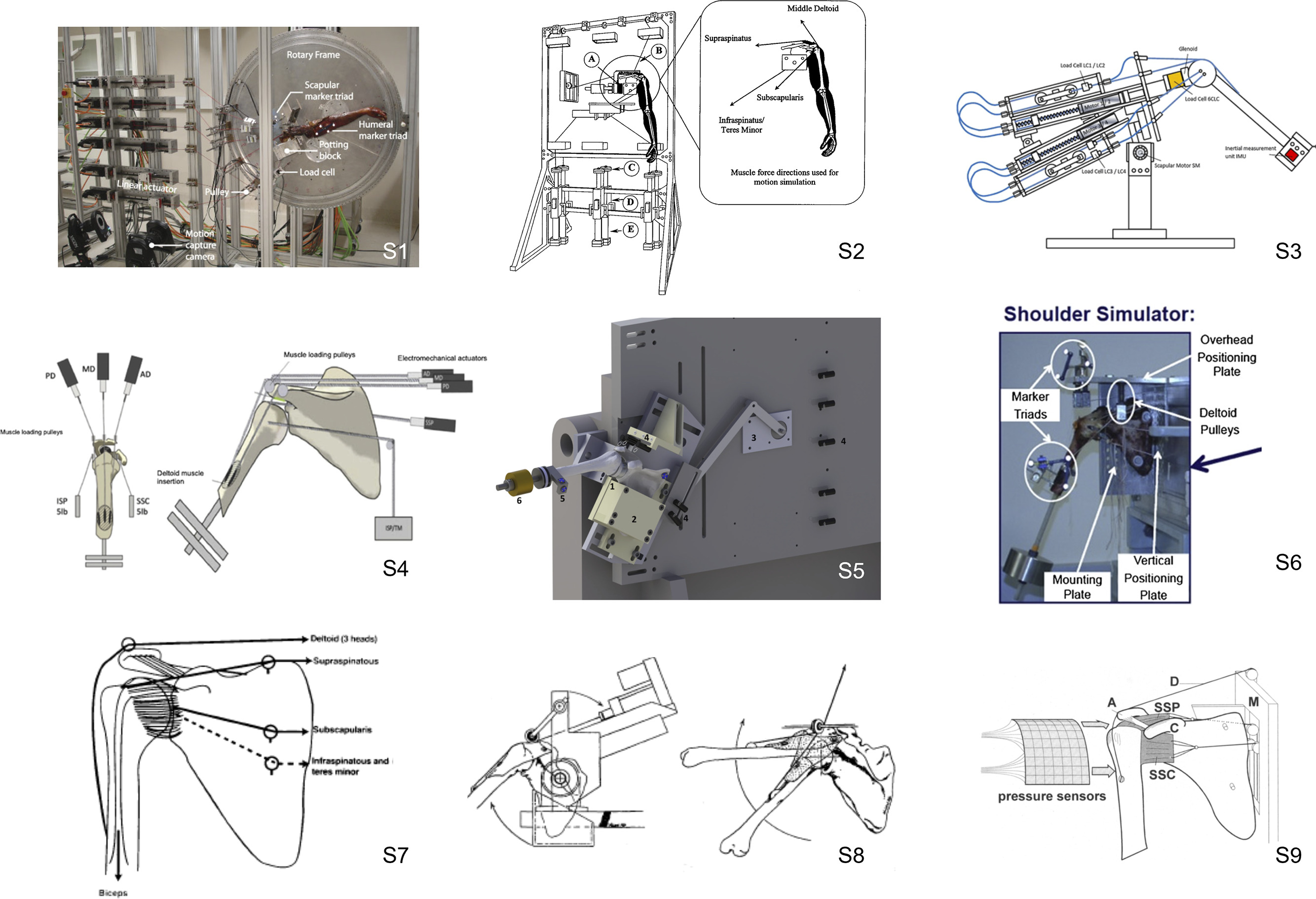 Ex vivo experimental strategies for assessing unconstrained shoulder ...